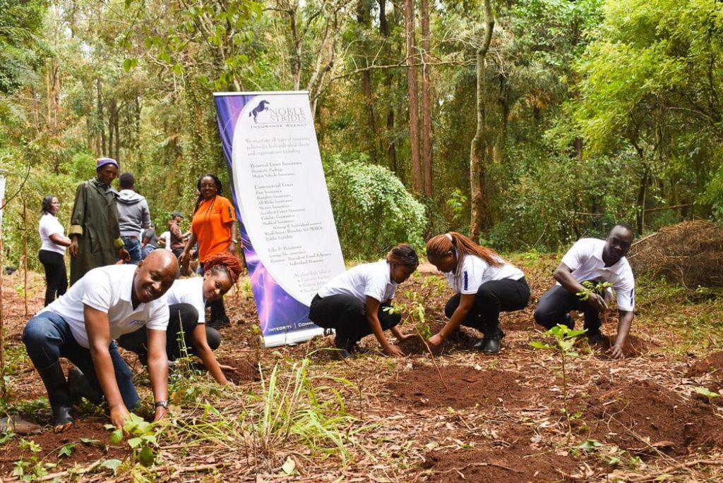 Our Initiatives - Noble Strides Insurance Agency